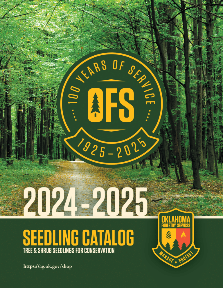 Shop – ODAFF