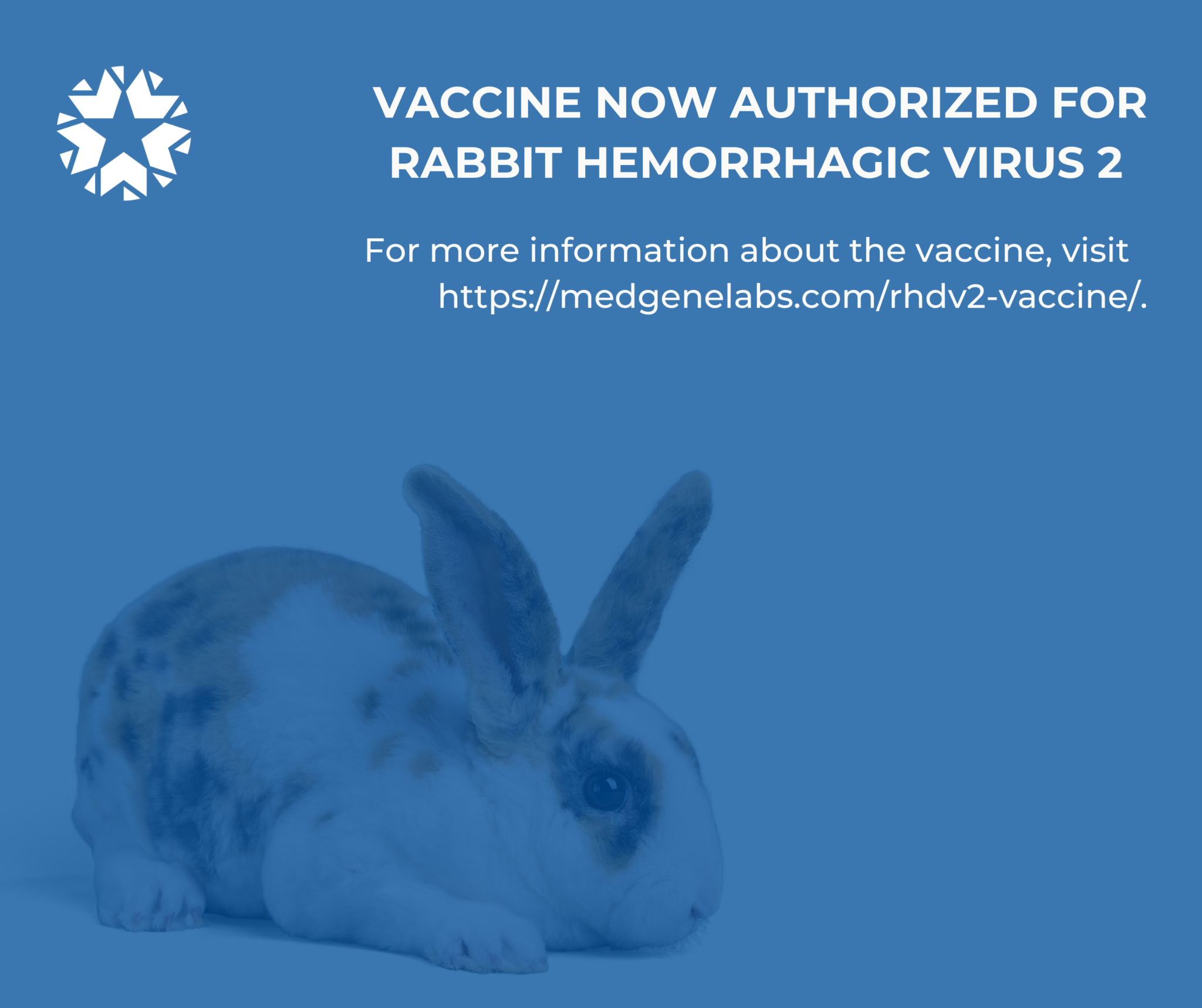 ODAFF Authorizes Veterinarians to Offer RHDV2 Vaccine – ODAFF