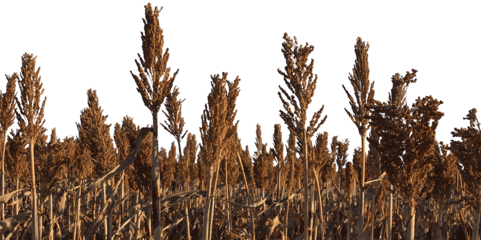 Oklahoma Ag Overview – ODAFF