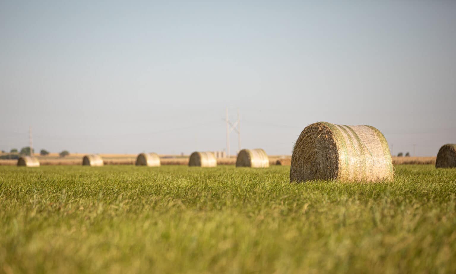 Market News – ODAFF