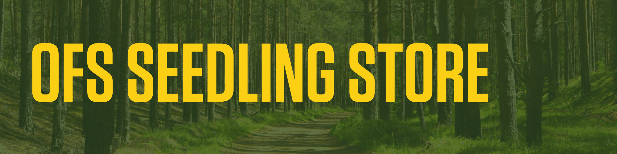 Forestry Services – ODAFF